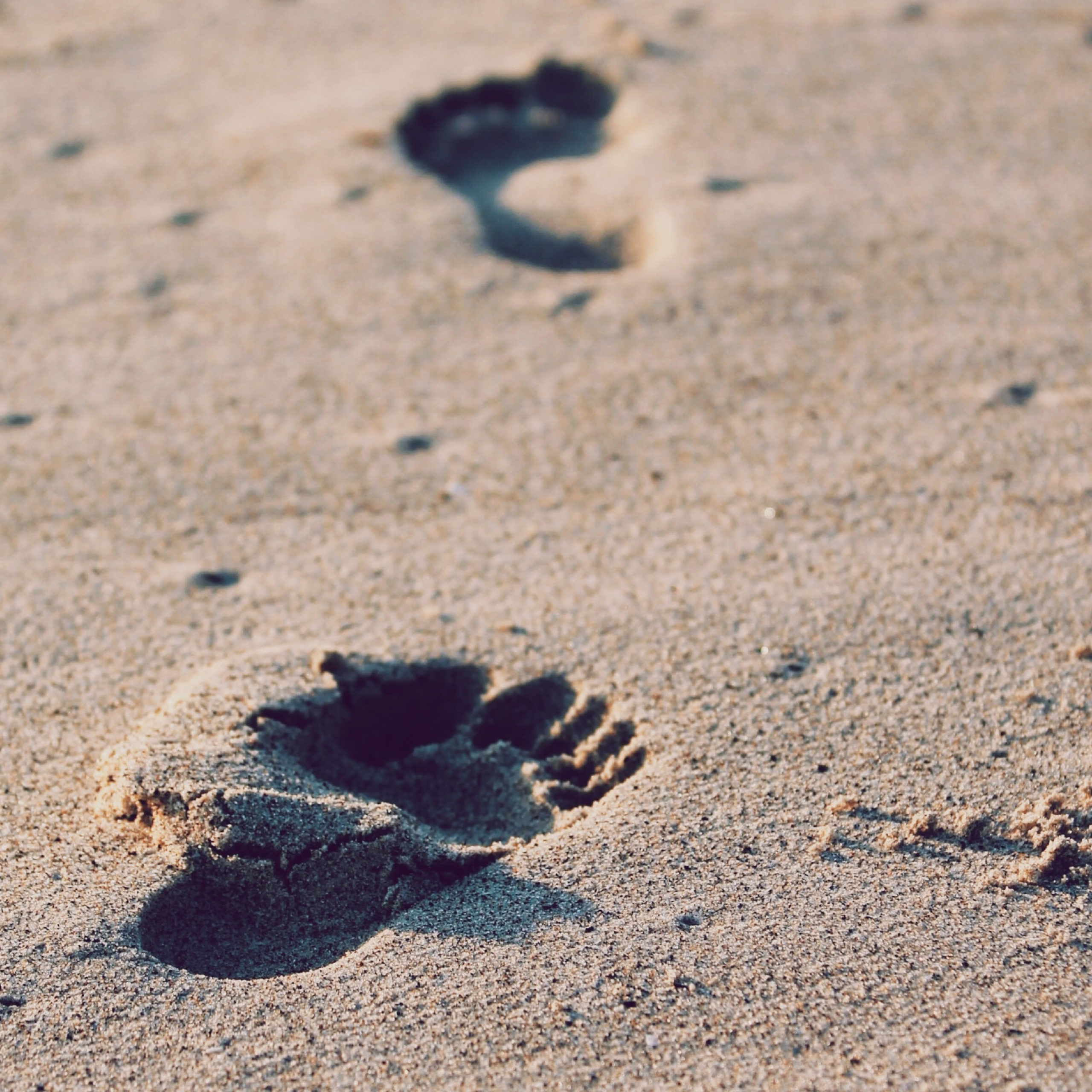 Foot Health: How Best to Treat Your Feet | Human Body Detectives